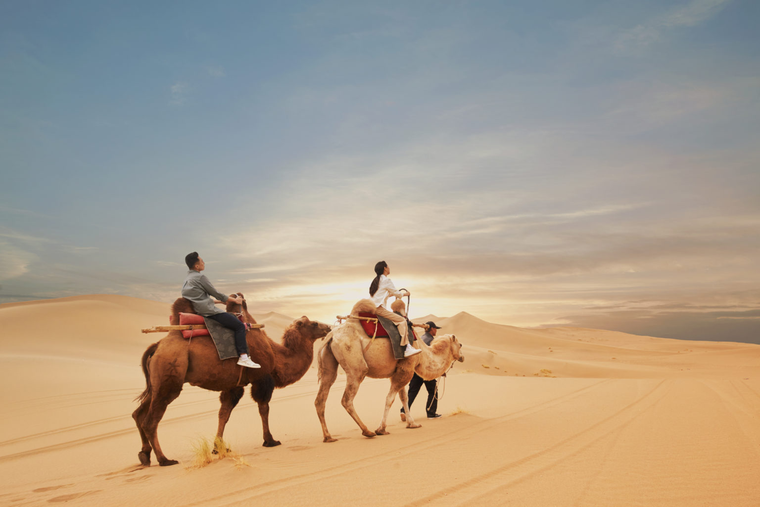 Life On Purpose - Alpha